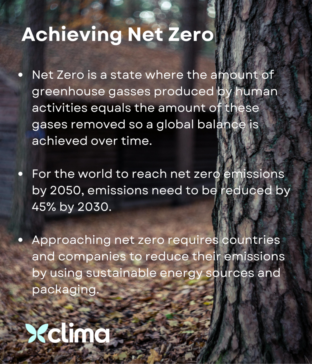 Achieving Net Zero: 2 Approaches To Success | Clima